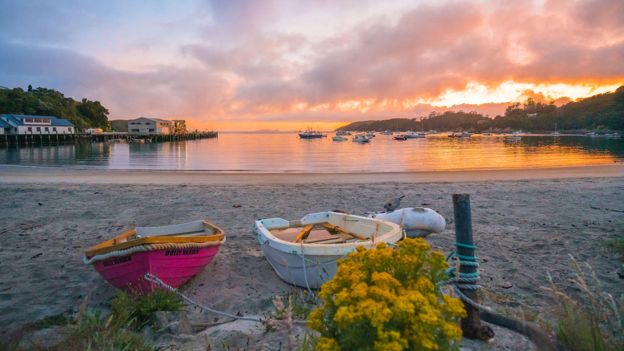 Experience Aotearoa | Travel Further | Discover | Southern Way